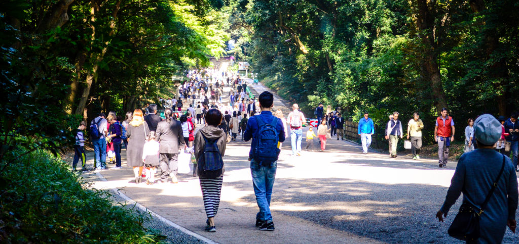 Exploring Yoyogi Park: Meiji Shrine, Earth Garden & The Tokyo Flea ...