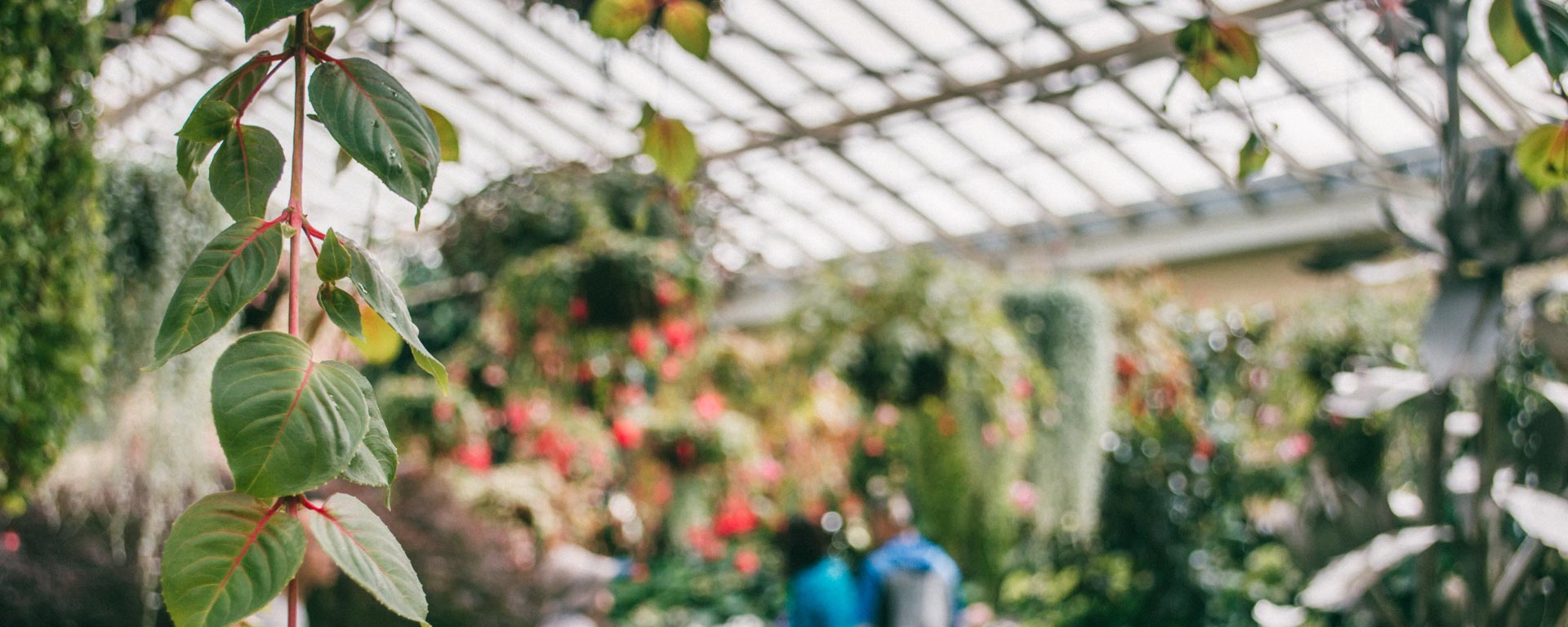 Fitzroy Gardens Melbourne The Conservatory, Fitzroy Gardens,