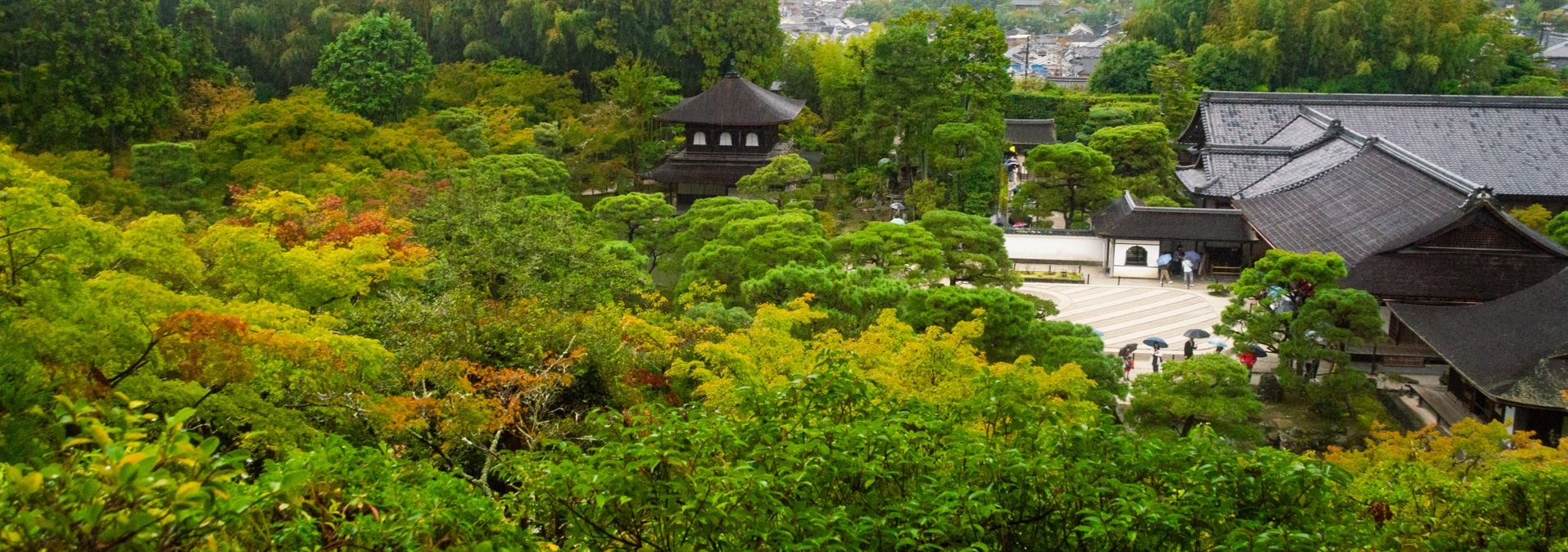 Kyoto Travel Guide for First Time Visitors (2026) • The Wanderbug