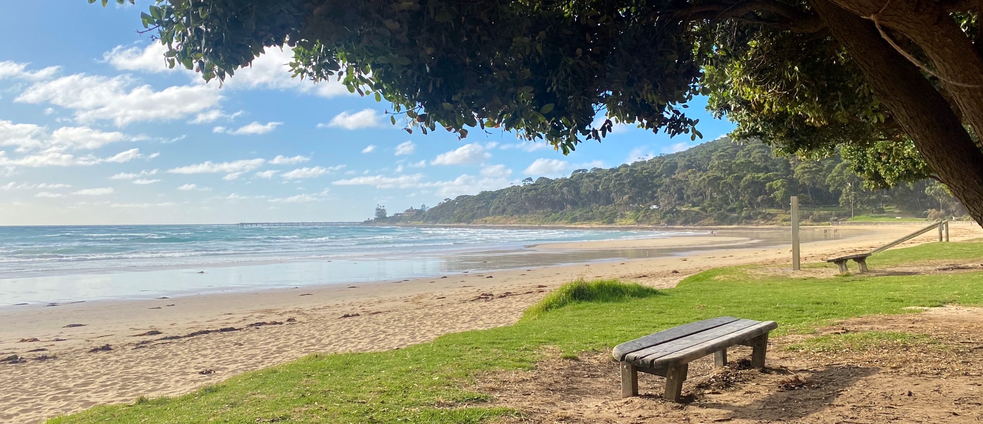 Lorne Travel Guide: Best Things to Do, Restaurants & Places to Stay on ...